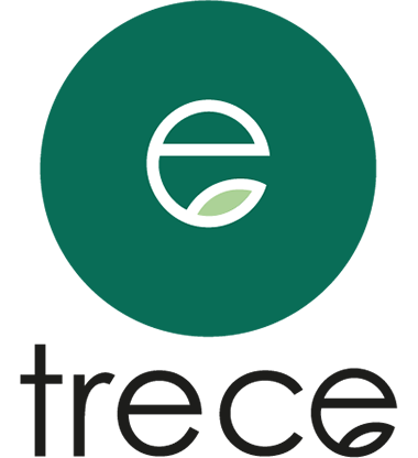 Proyecto TRECE - OnProjects